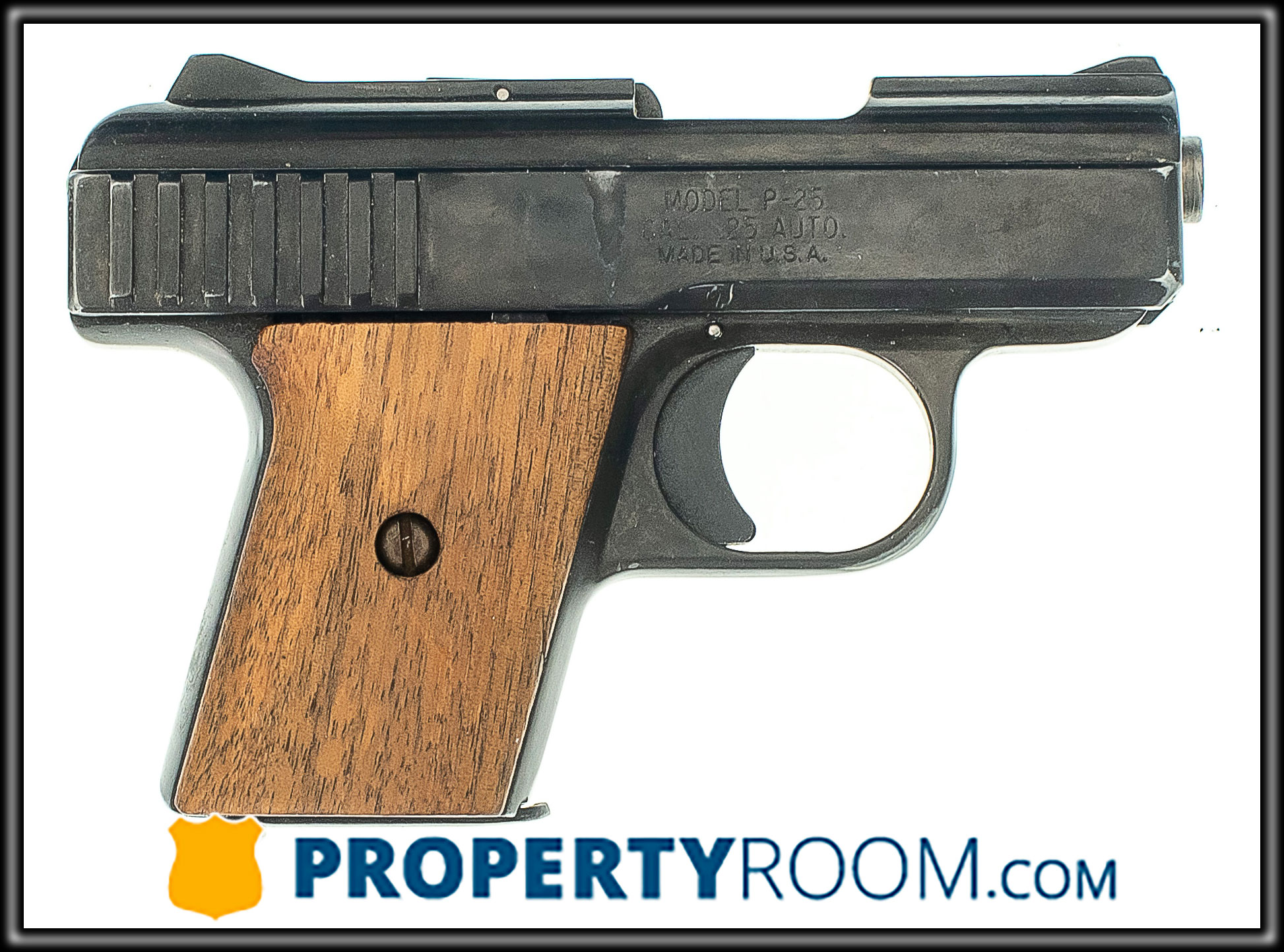 RAVEN ARMS P25 25 ACP (Auction ID: 19066154, End Time : Mar. 15, 2024 ...